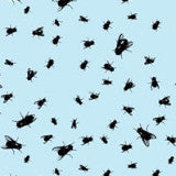 Flypaper Wallpaper by Rob Wynne – Artware Editions